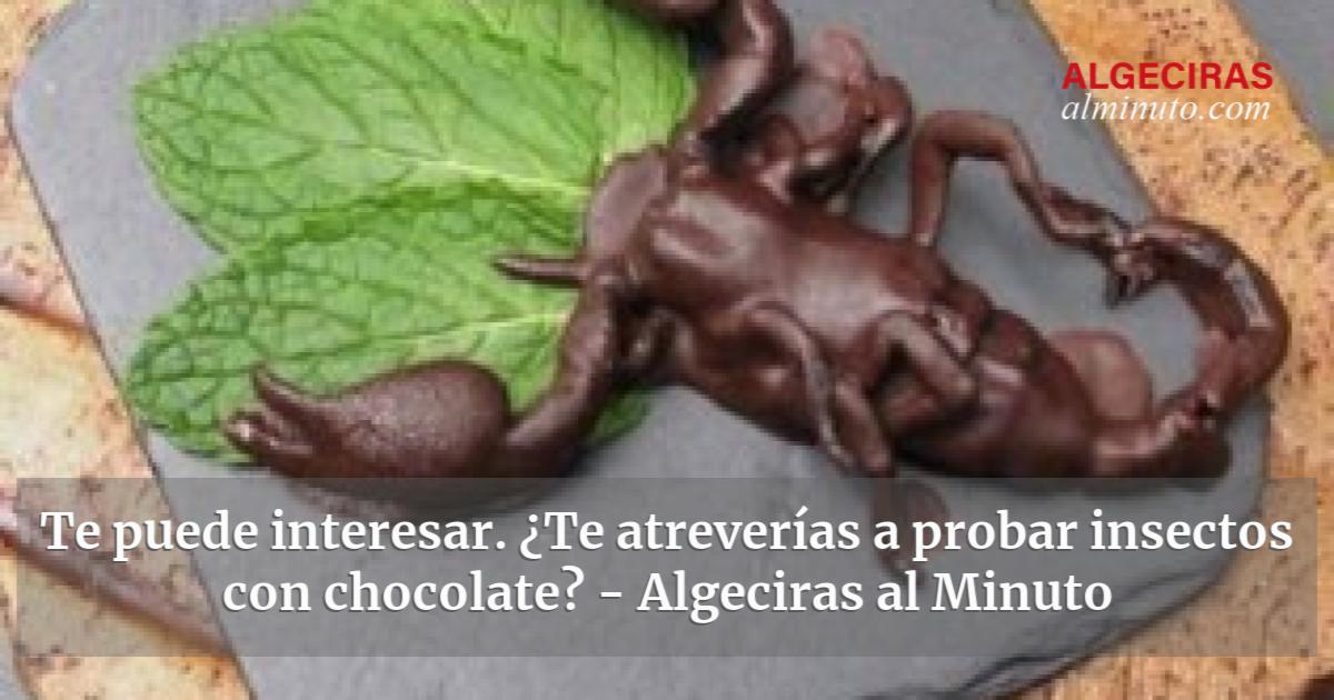 Te puede interesar. ¿Te atreverías a probar insectos con chocolate ...