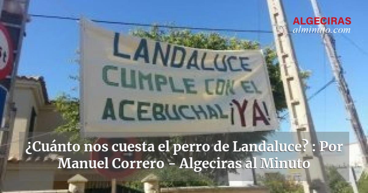 ¿Cuánto nos cuesta el perro de Landaluce? : Por Manuel Correro - Algeciras al Minuto